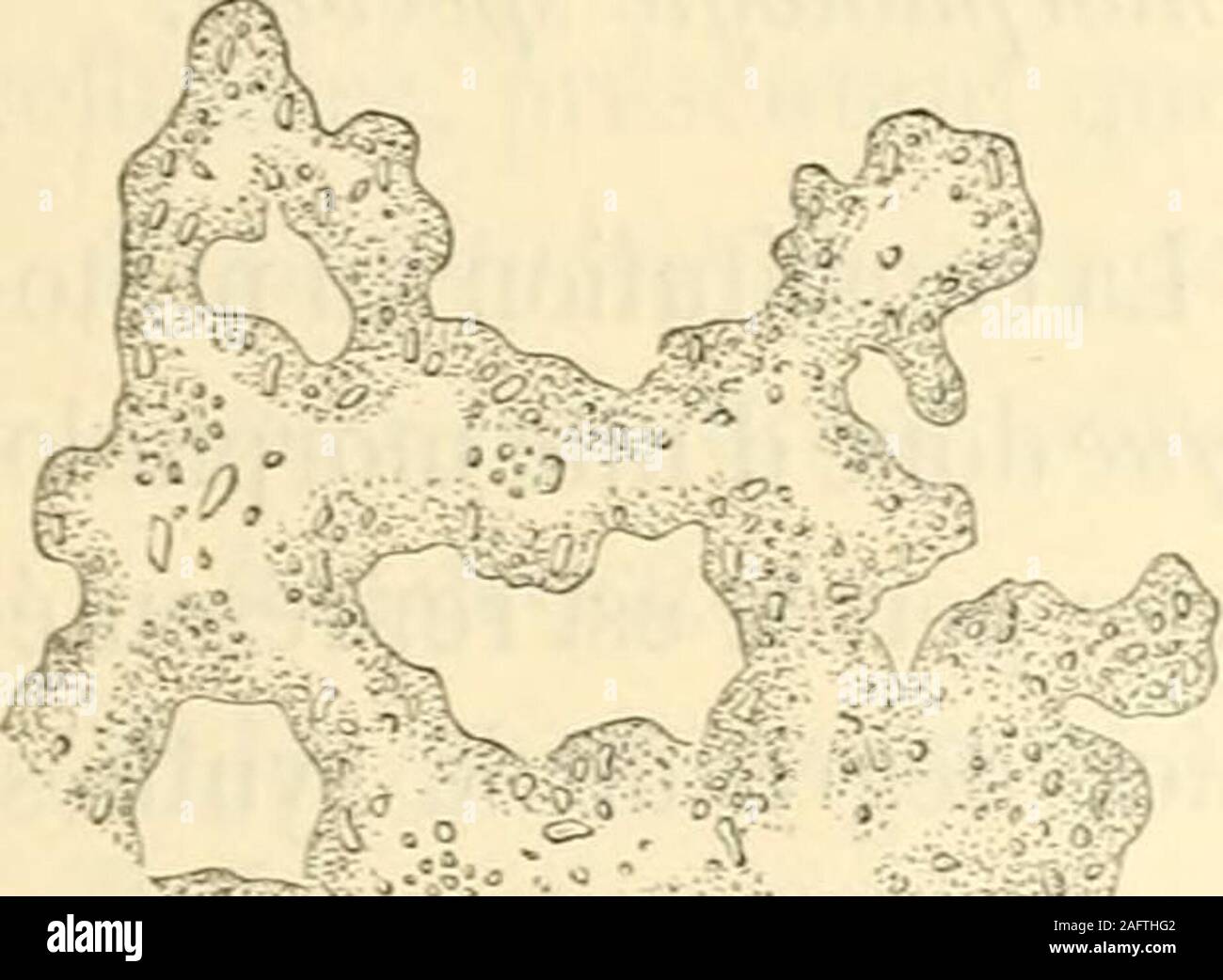 Vie de leçon hi-res stock photography and images - Alamy