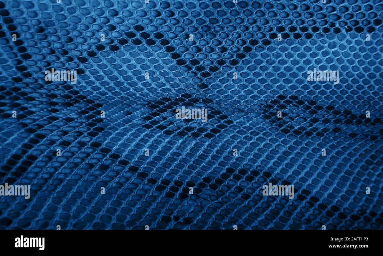 Snake skin pattern, natural background toned classic blue color Stock ...