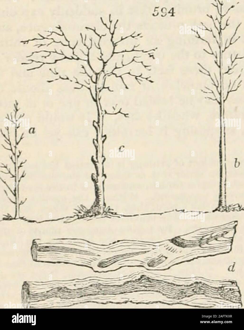 Greatest rapidity hi-res stock photography and images - Alamy