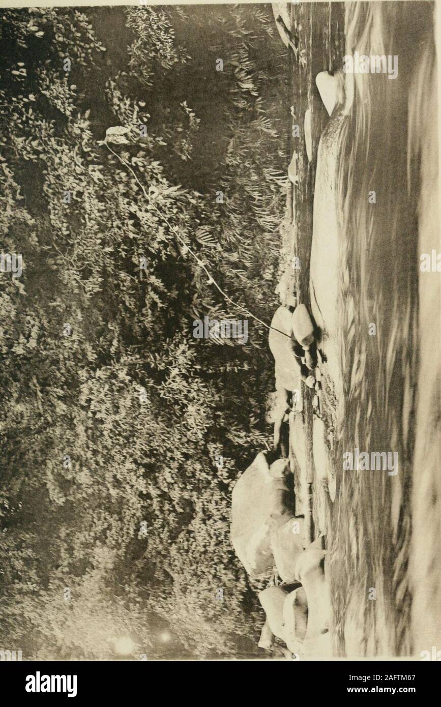 Birds omens hi-res stock photography and images - Alamy