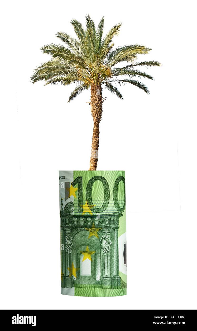 Palm growing from euro banknote Stock Photo - Alamy