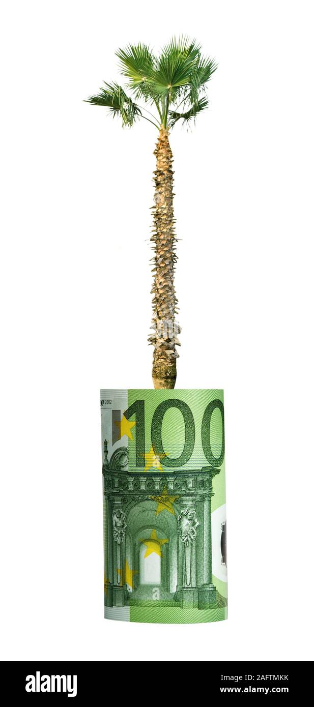 Palm growing from euro banknote Stock Photo - Alamy