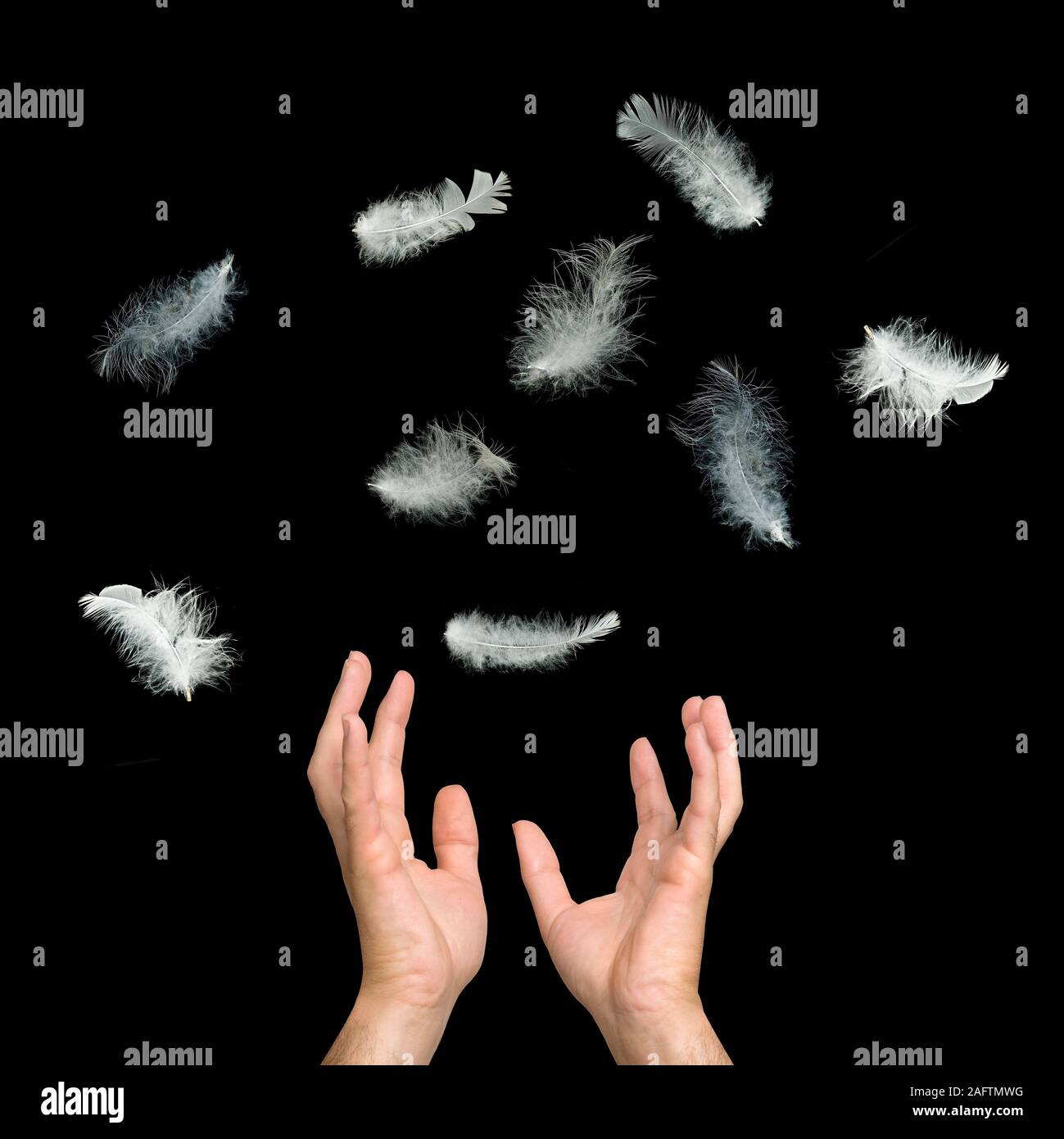 White feathers falling hi-res stock photography and images - Alamy