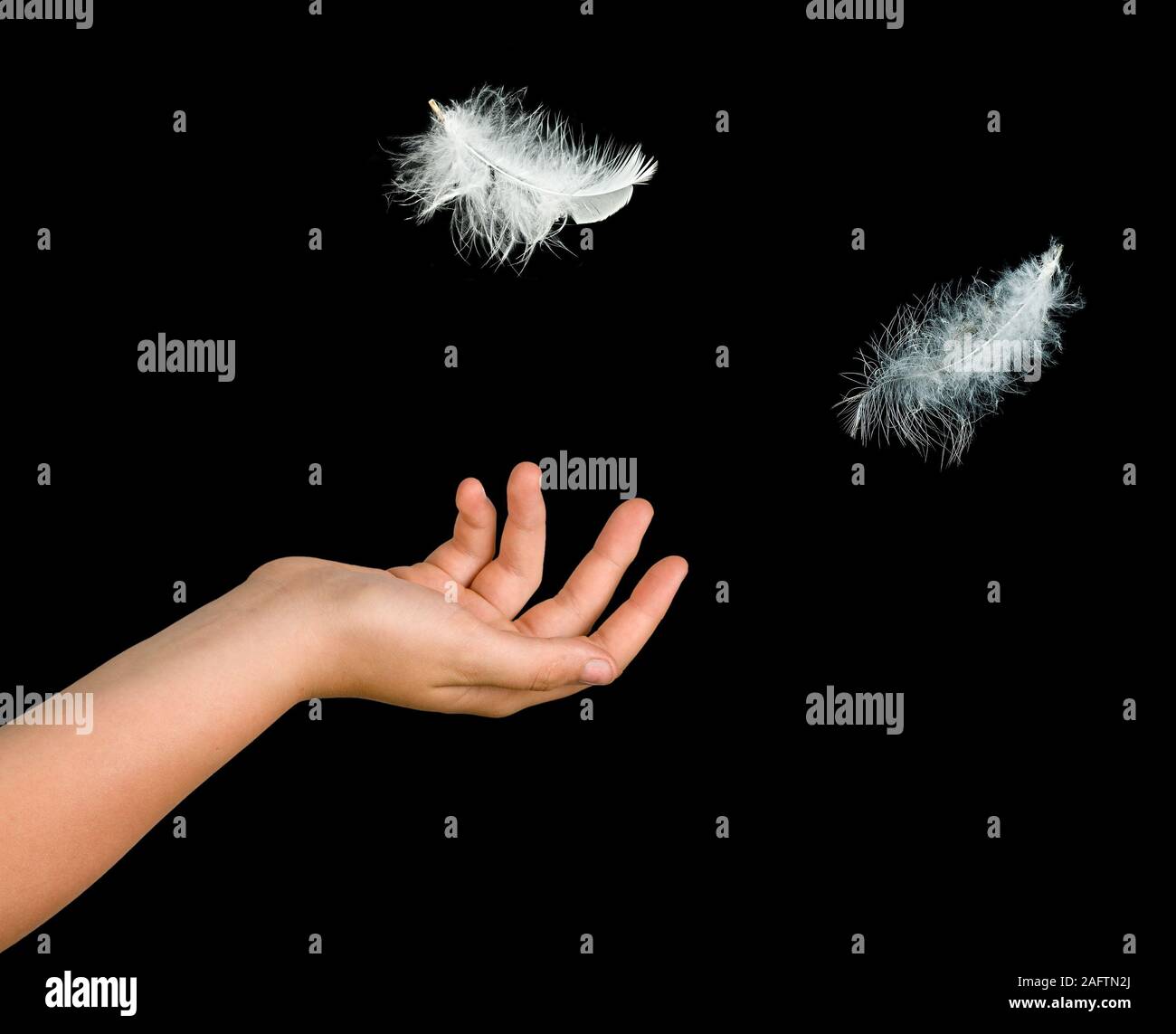 Feathers falling hi-res stock photography and images - Alamy