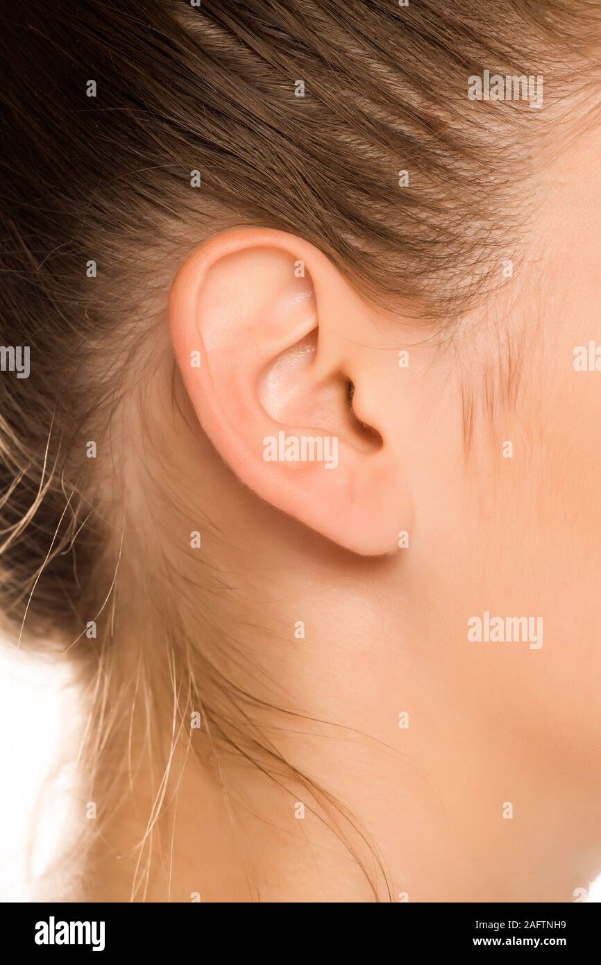 Anatomy of the ear hi-res stock photography and images - Alamy