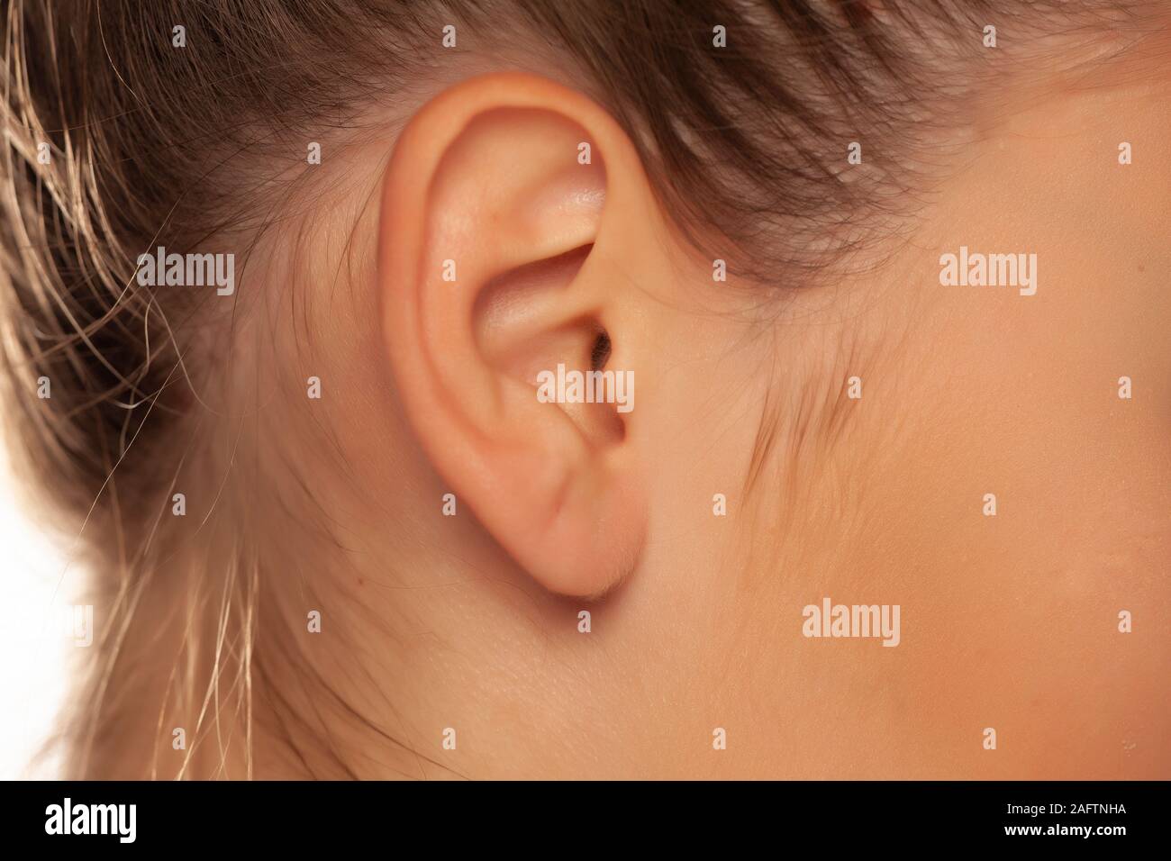 Anatomy of the ear hi-res stock photography and images - Alamy