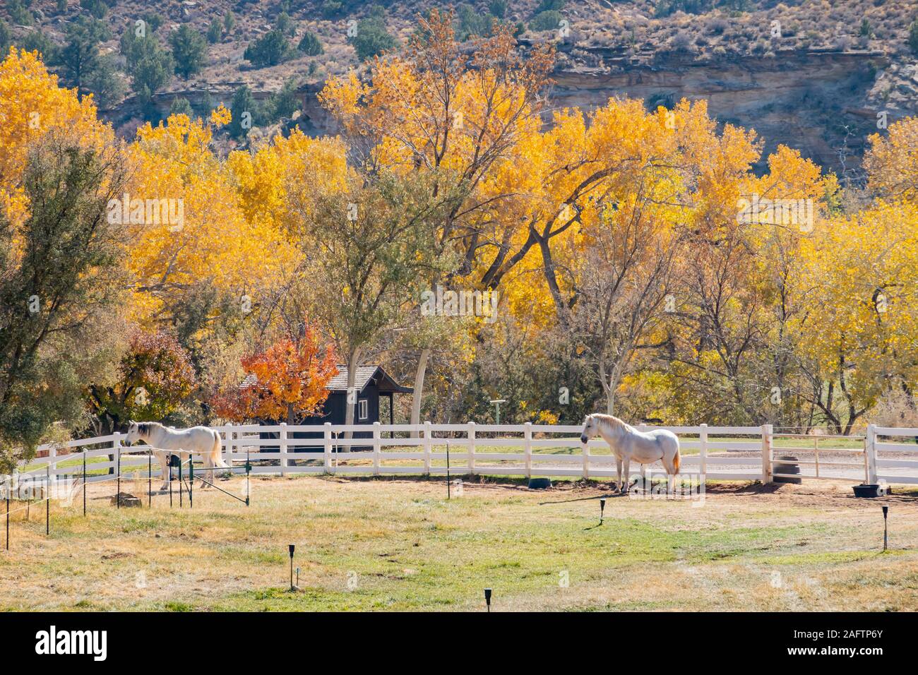 Springdell hi-res stock photography and images - Alamy