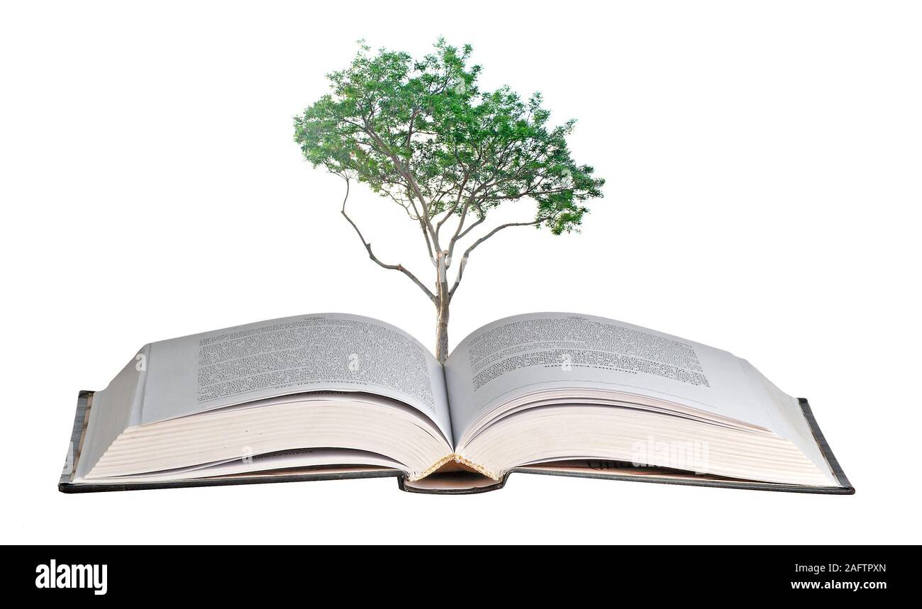 tree growing from book Stock Photo - Alamy