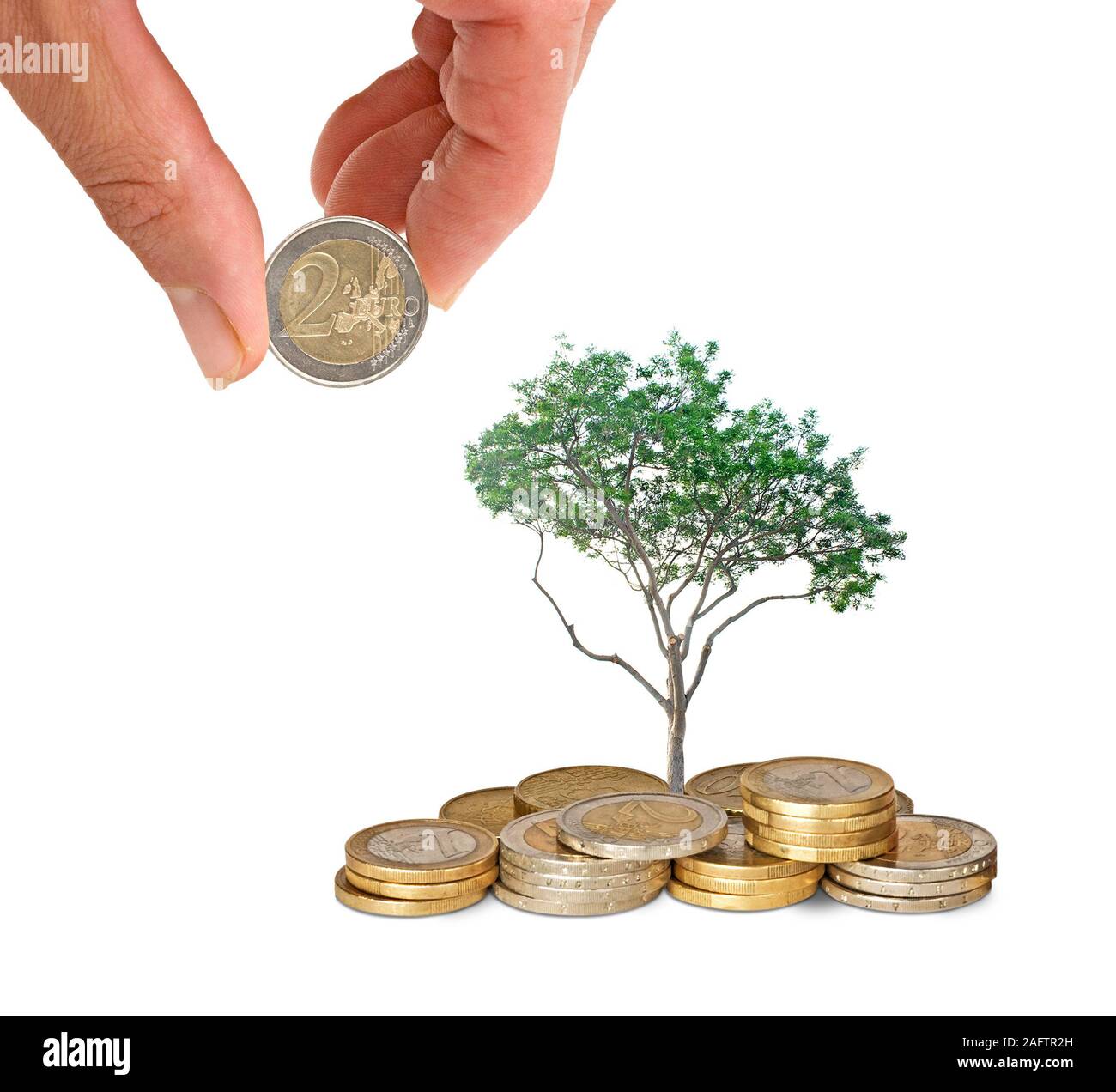 tree growing from coins Stock Photo - Alamy