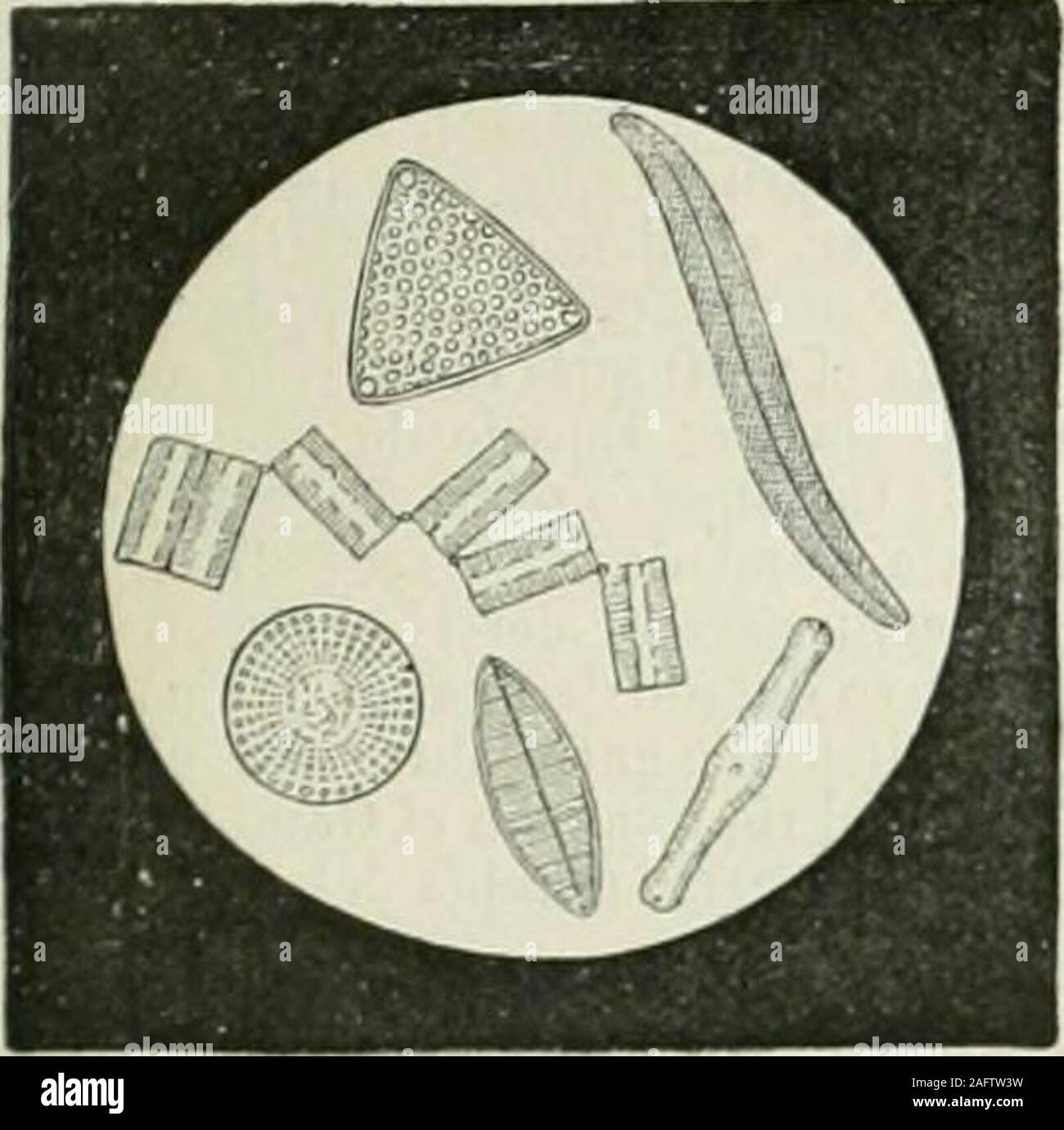 Mapas de fondo hi-res stock photography and images - Alamy
