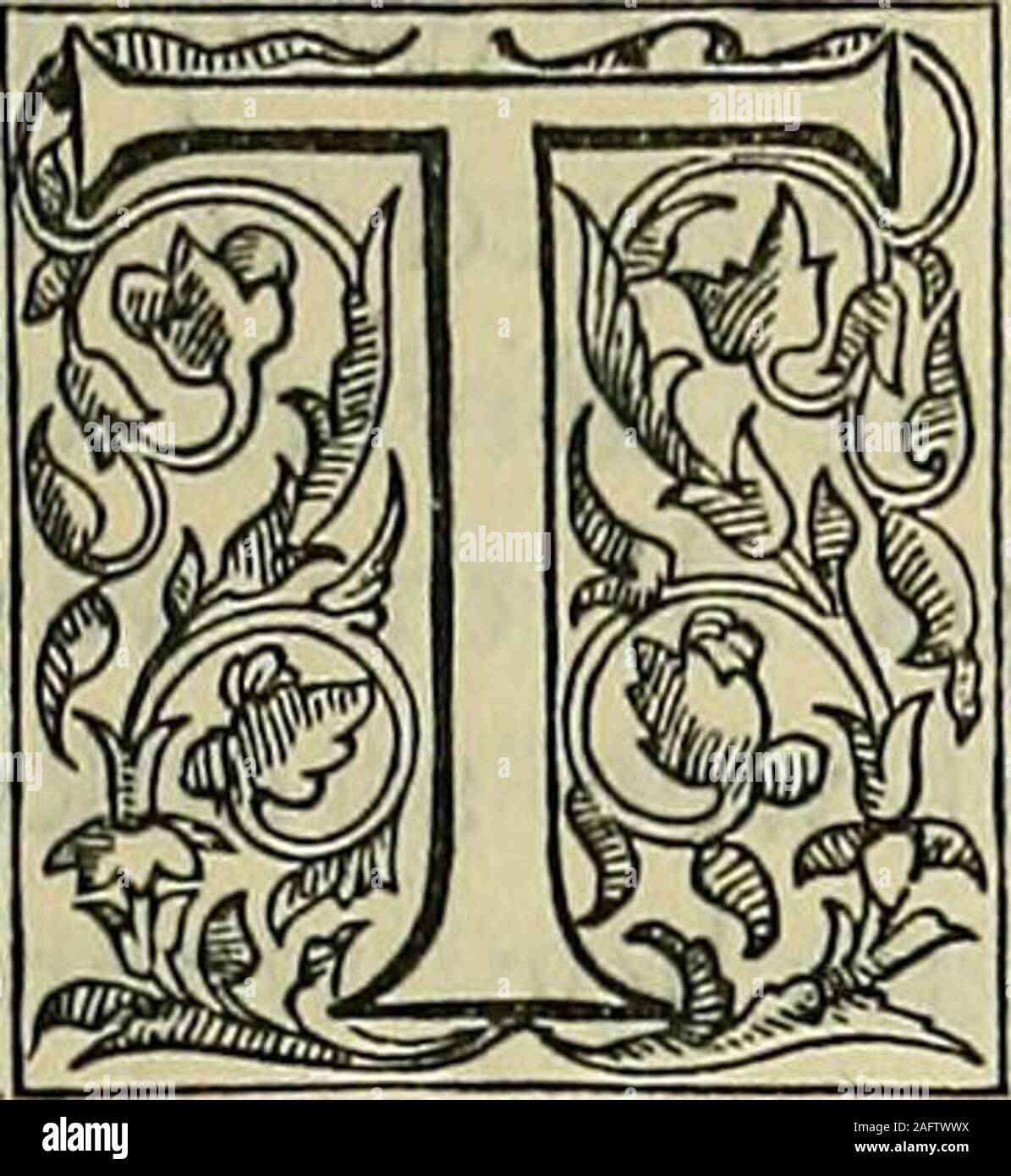 Lyeth hi-res stock photography and images - Alamy