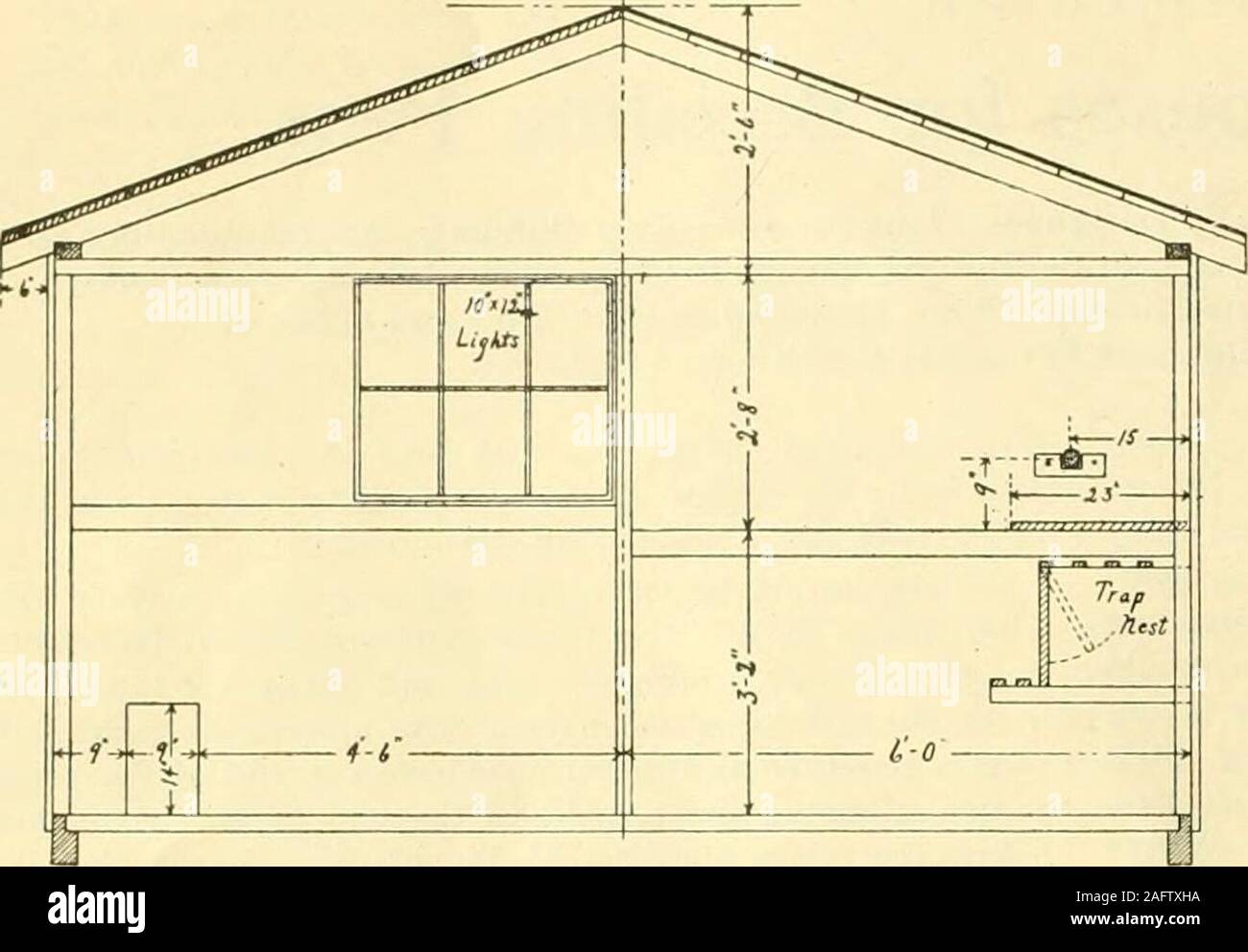 . Poultry houses and fixtures. How to lay out poultry plants ... PIG ...