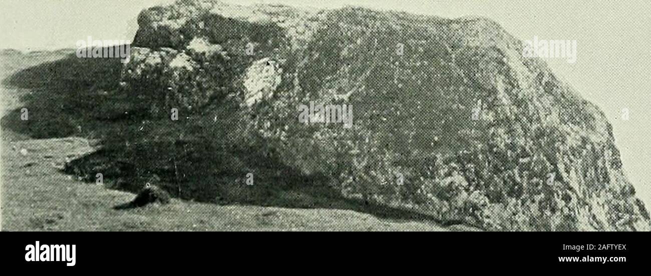 . The Quarterly journal of the Geological Society of London. -Tli rust ...