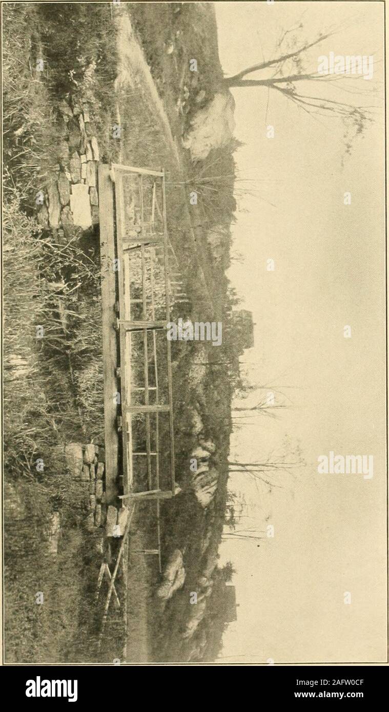 . The battle of Pell's Point (or Pelham) October 18, 1776. Being the ...