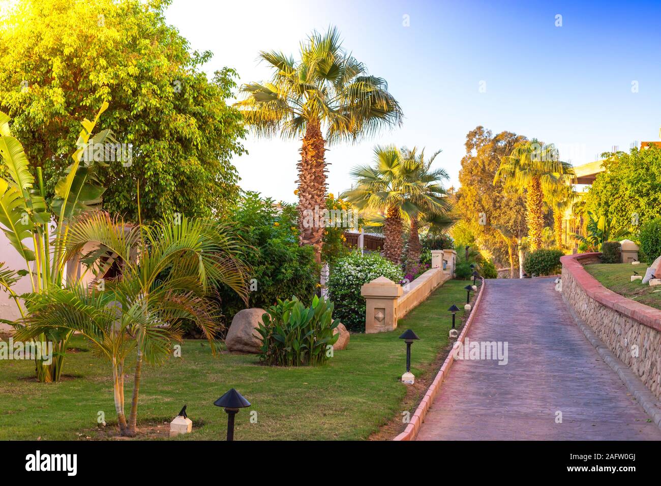 Travel to Paradise on earth. Alley among the lush greenery at sunset ...