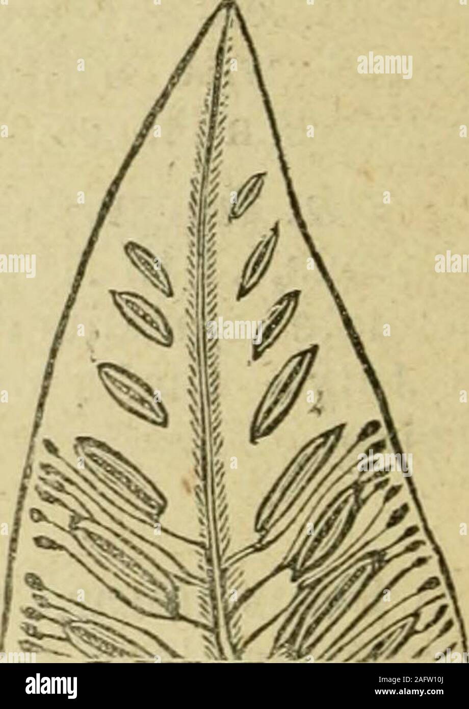 Marginal Desert High Resolution Stock Photography and Images - Alamy