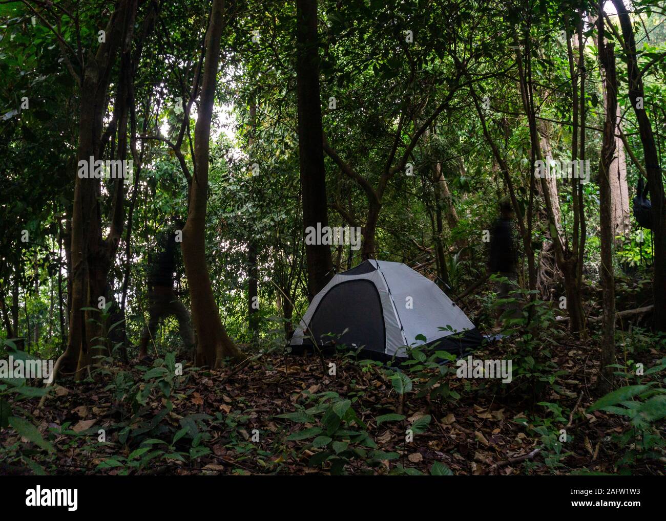 Camping and tent under the tree, tropical forest in national park Stock ...