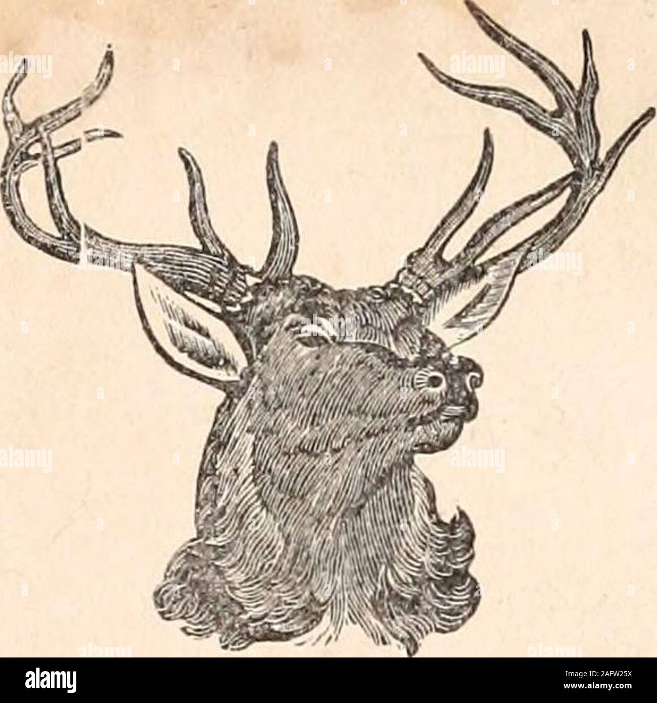 Bandits band hi-res stock photography and images - Alamy