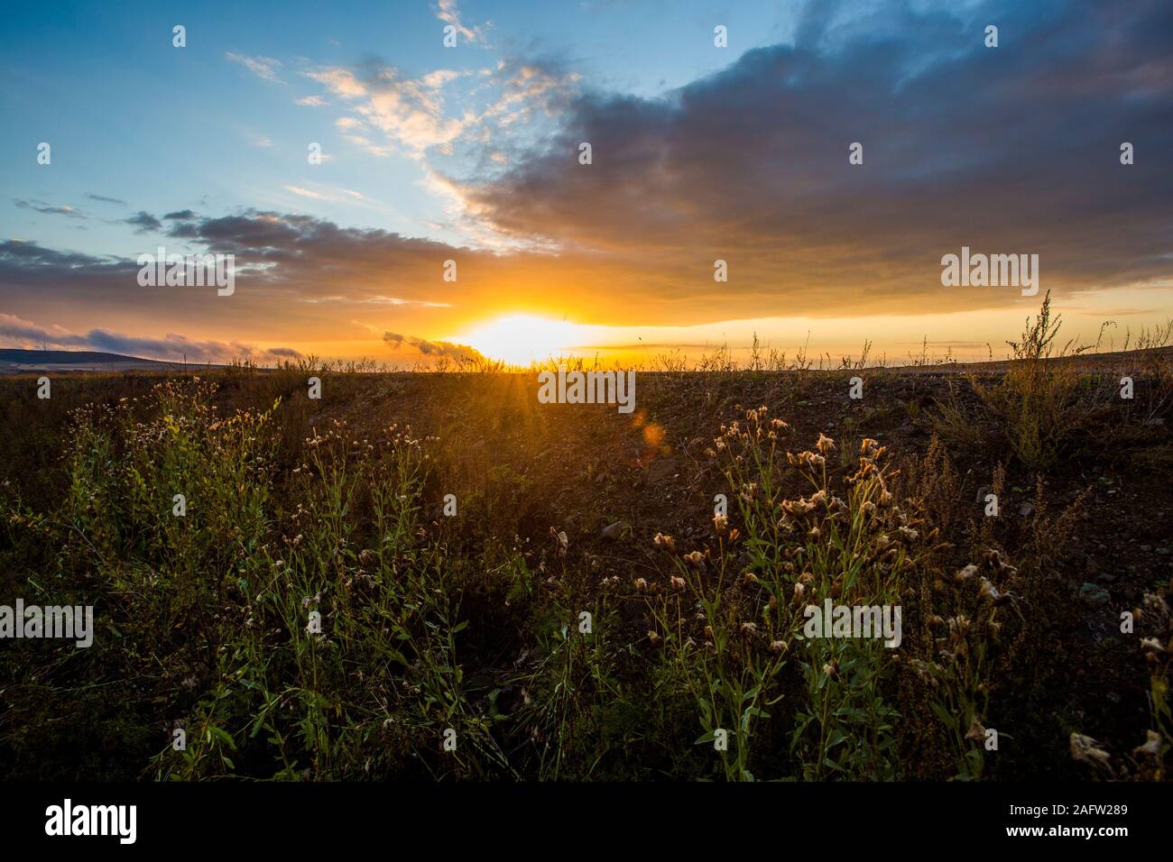 Inner journey sun hi-res stock photography and images - Alamy