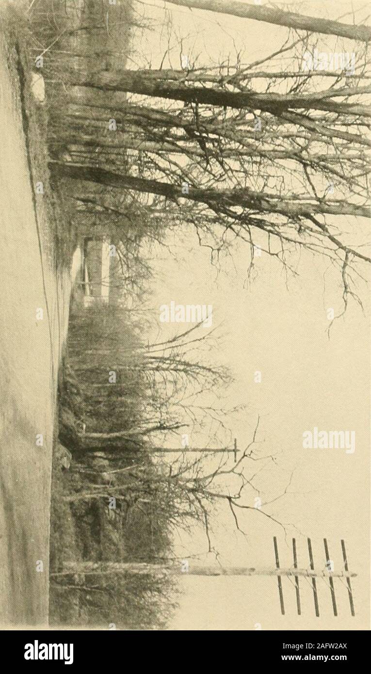 . The battle of Pell's Point (or Pelham) October 18, 1776. Being the ...