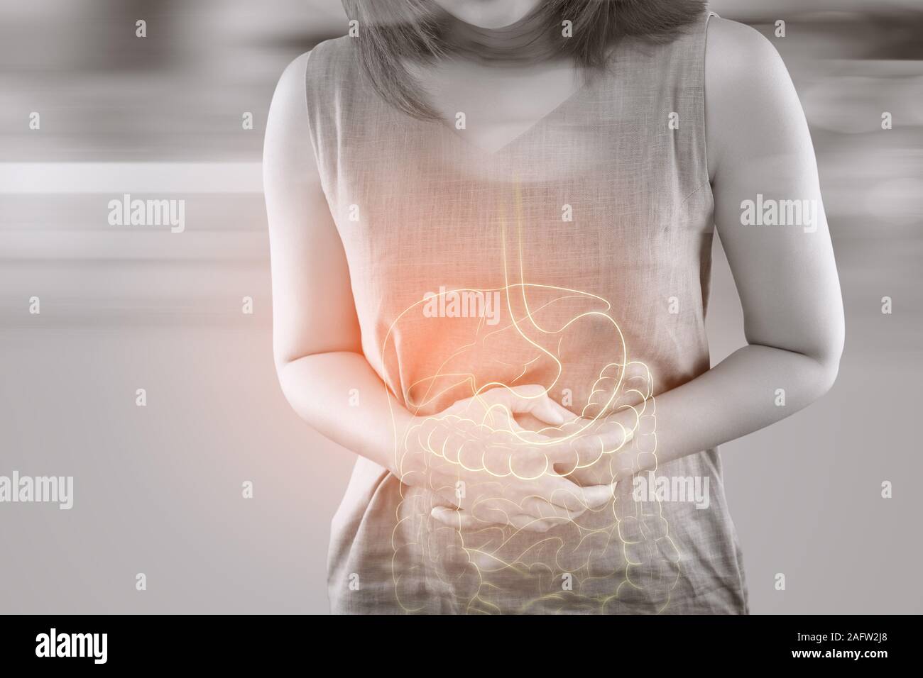 The photo of internal organs is on the women's body against gray ...