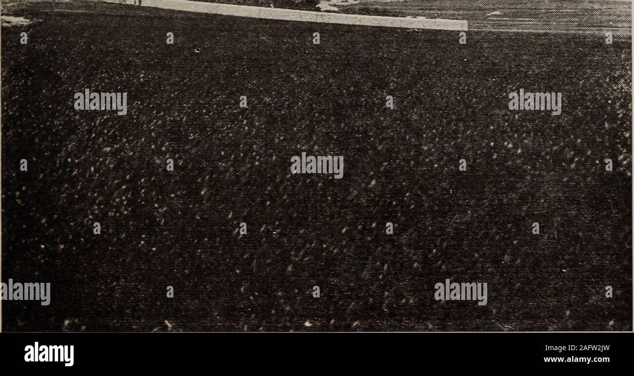 Shunem hi-res stock photography and images - Alamy