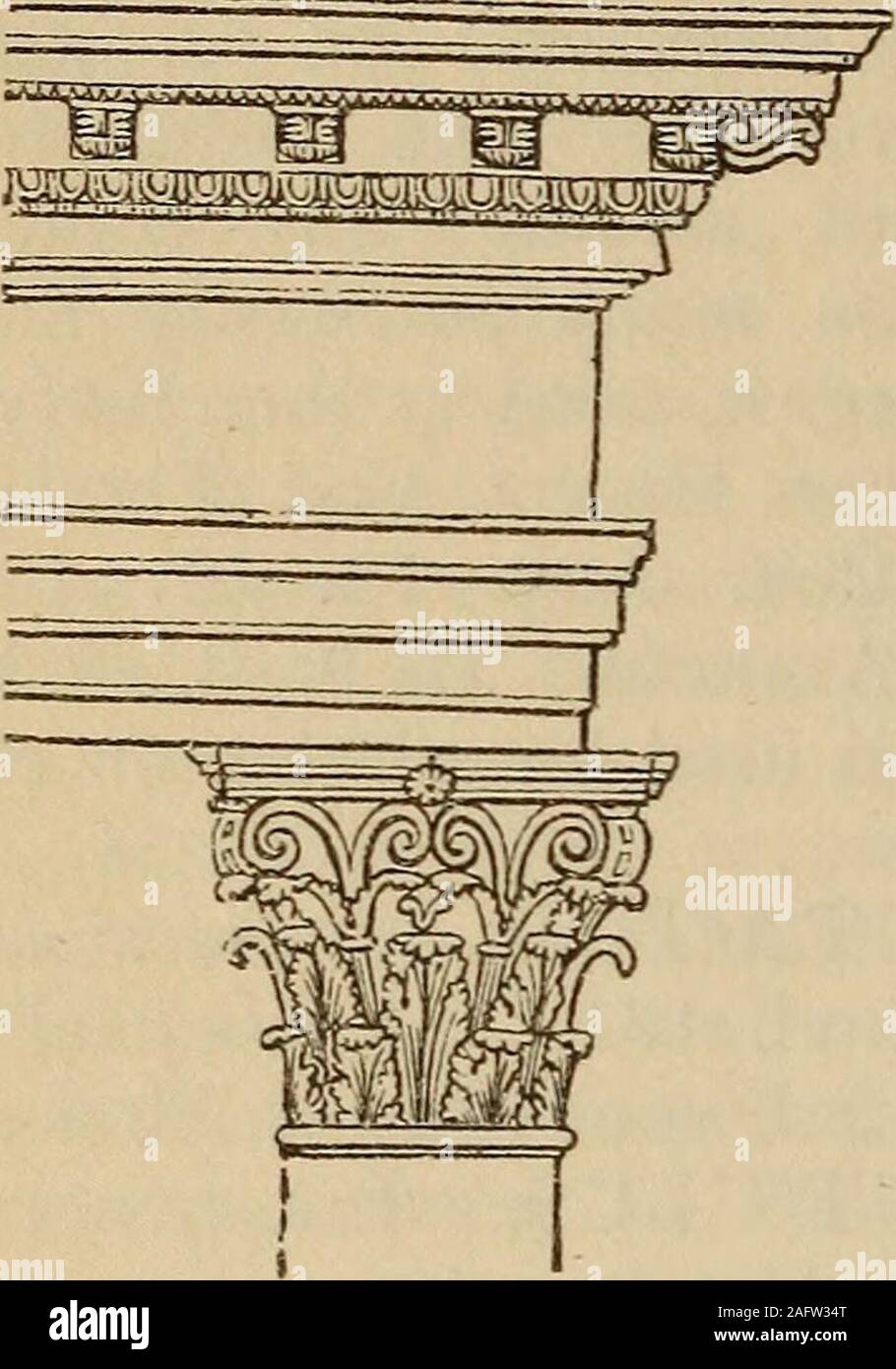 Mutule hi-res stock photography and images - Alamy