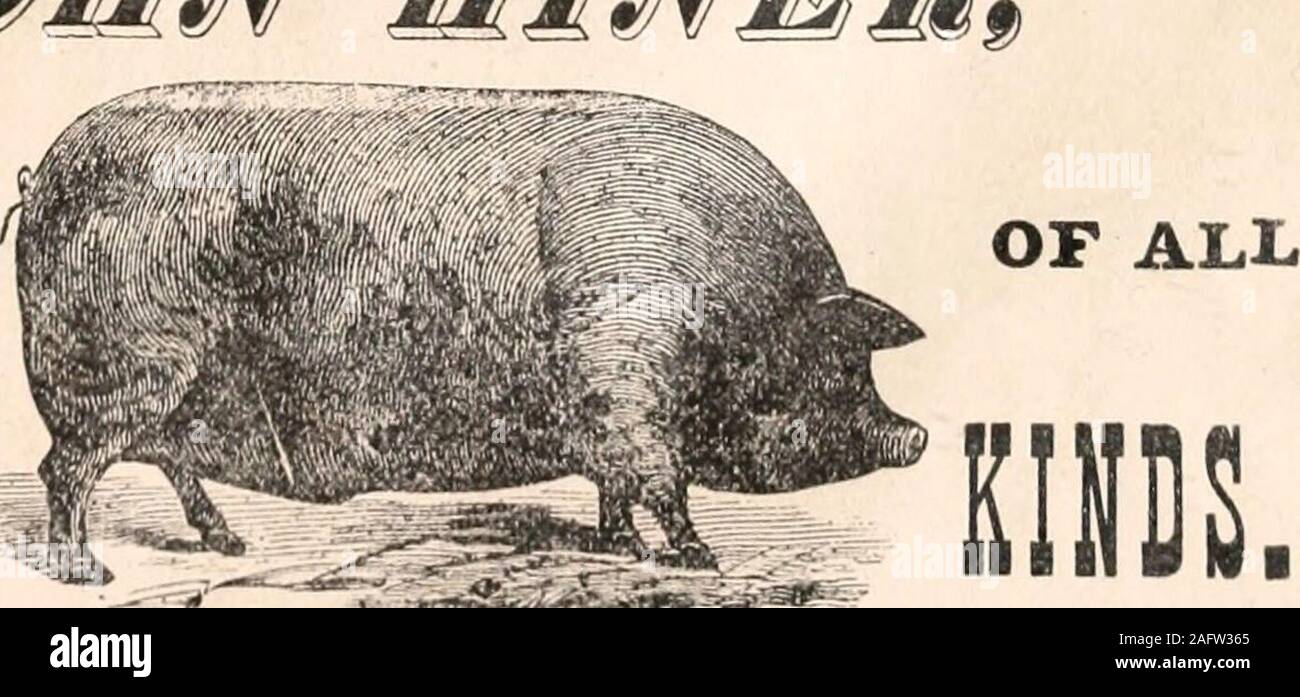 Bandits band hi-res stock photography and images - Alamy