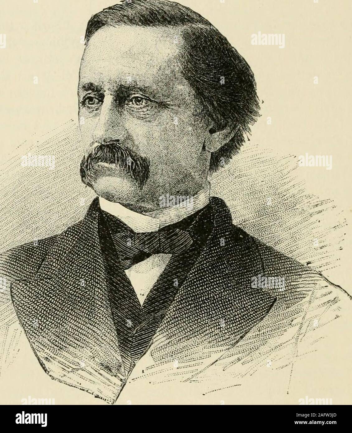 Bos william hi-res stock photography and images - Alamy