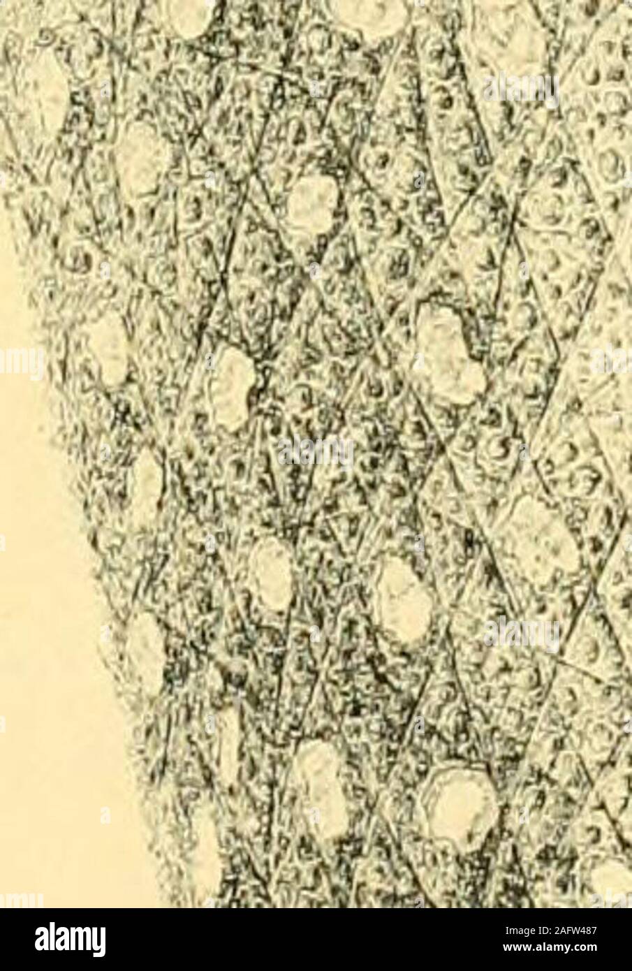 Marshall schmidt hi-res stock photography and images - Alamy