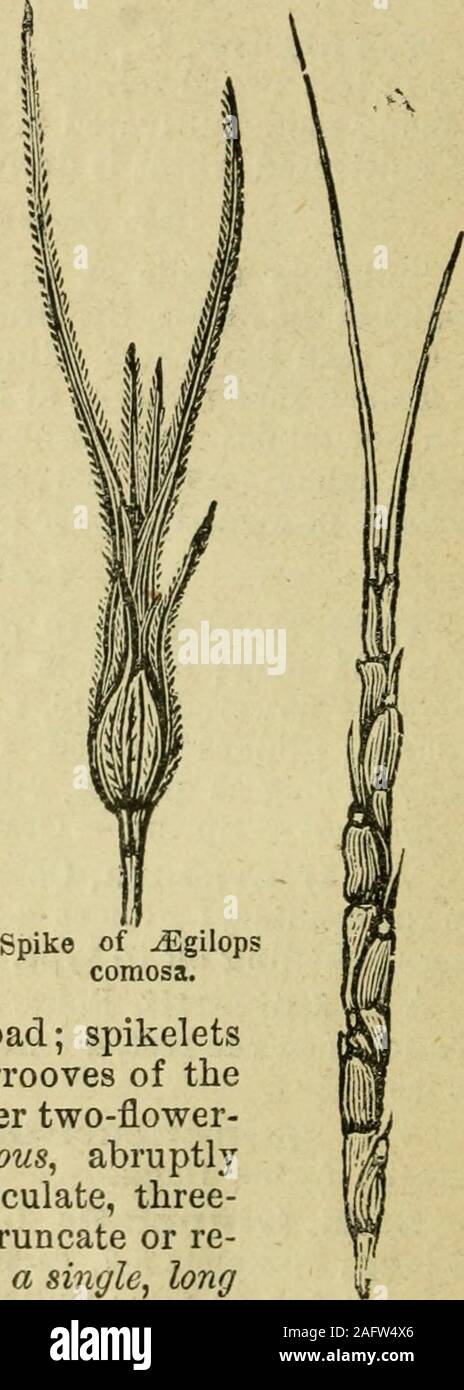 Aicn ° a hi-res stock photography and images - Alamy