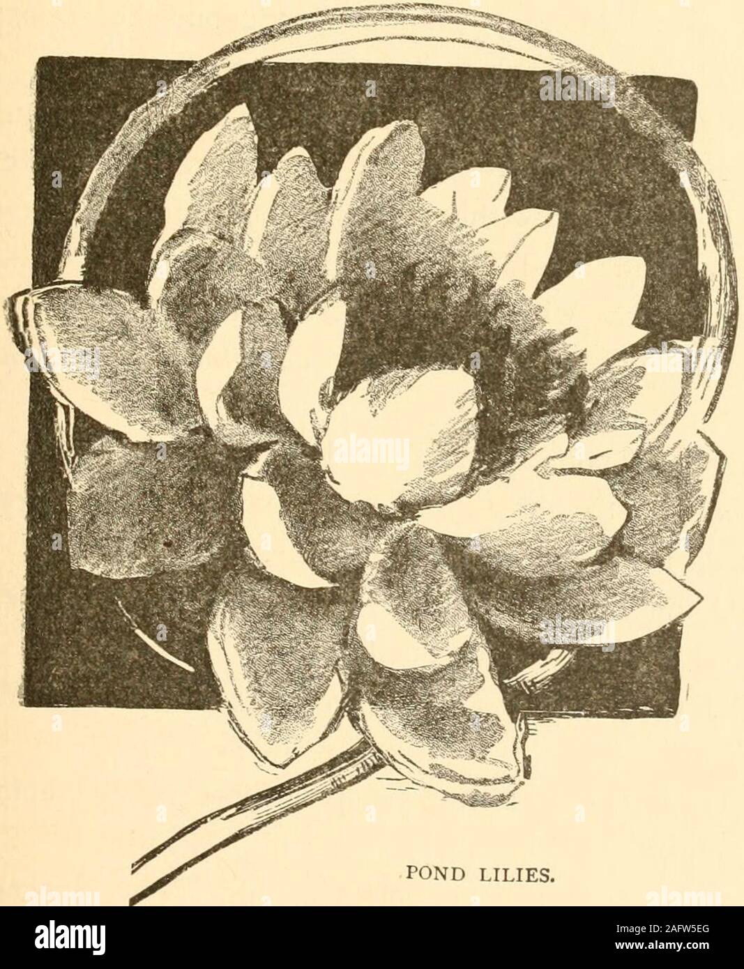 Tipping back on chair hi-res stock photography and images - Alamy