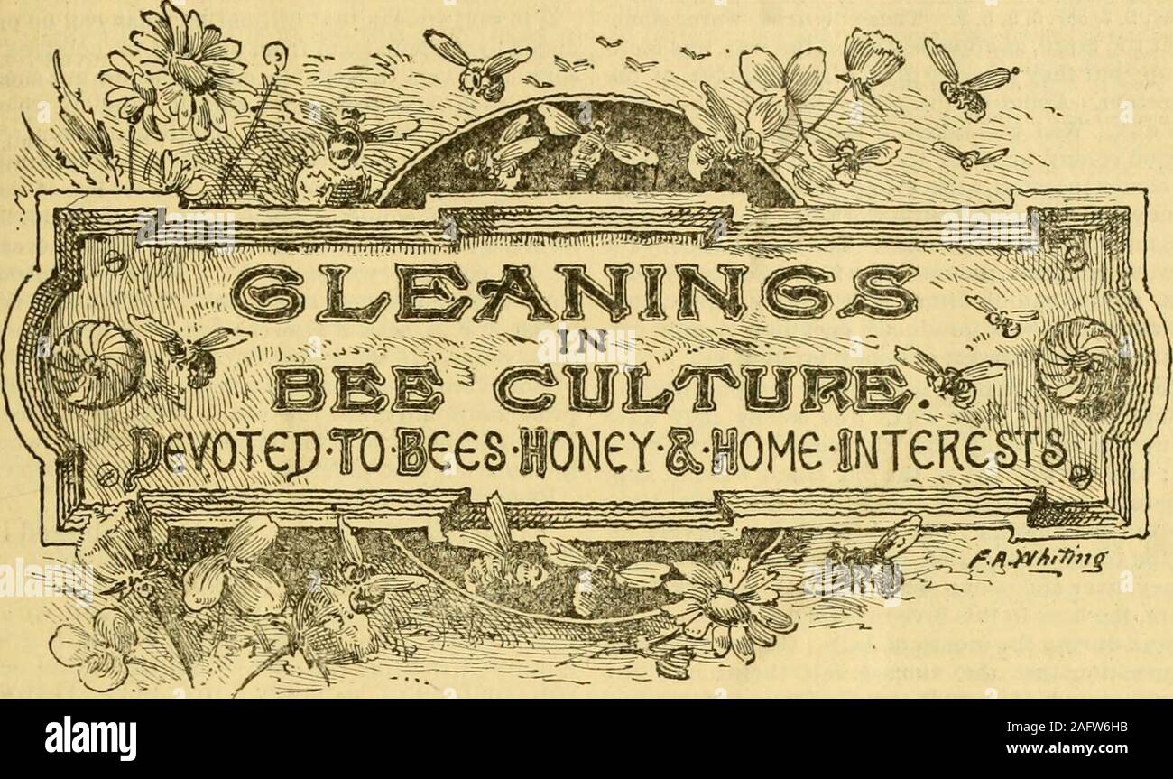 Fdn 2 hi-res stock photography and images - Alamy