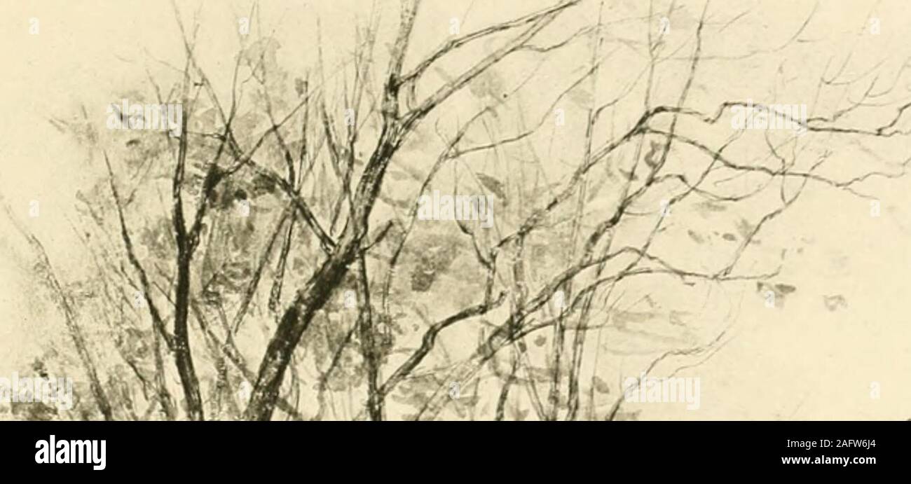 Lacunar ceiling hi-res stock photography and images - Alamy