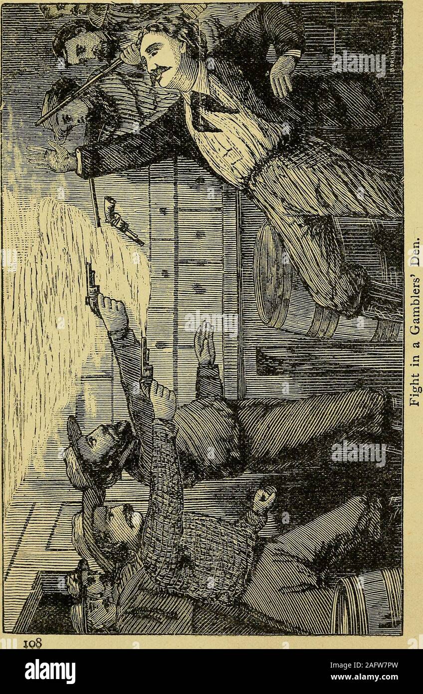 . Illustrated lives and adventures of Frank and Jesse James, and the ...