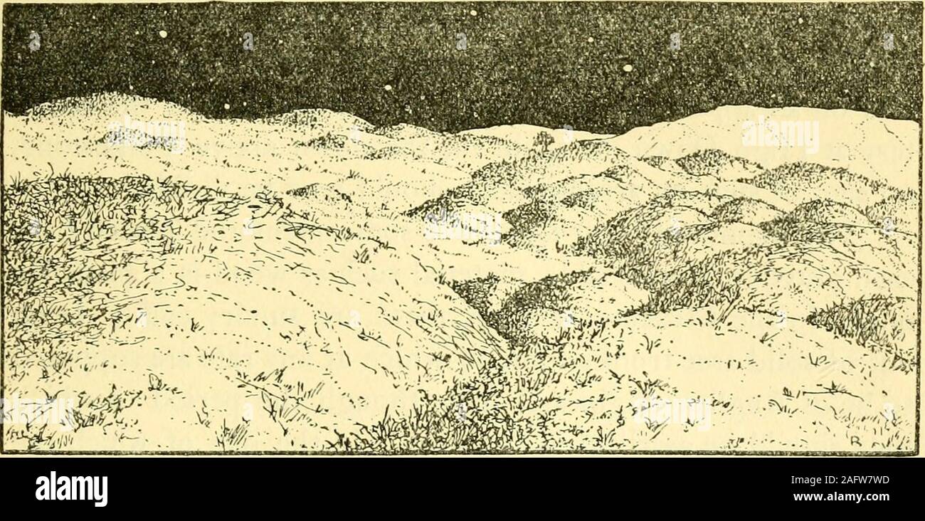 Rare early drawing hi-res stock photography and images - Alamy