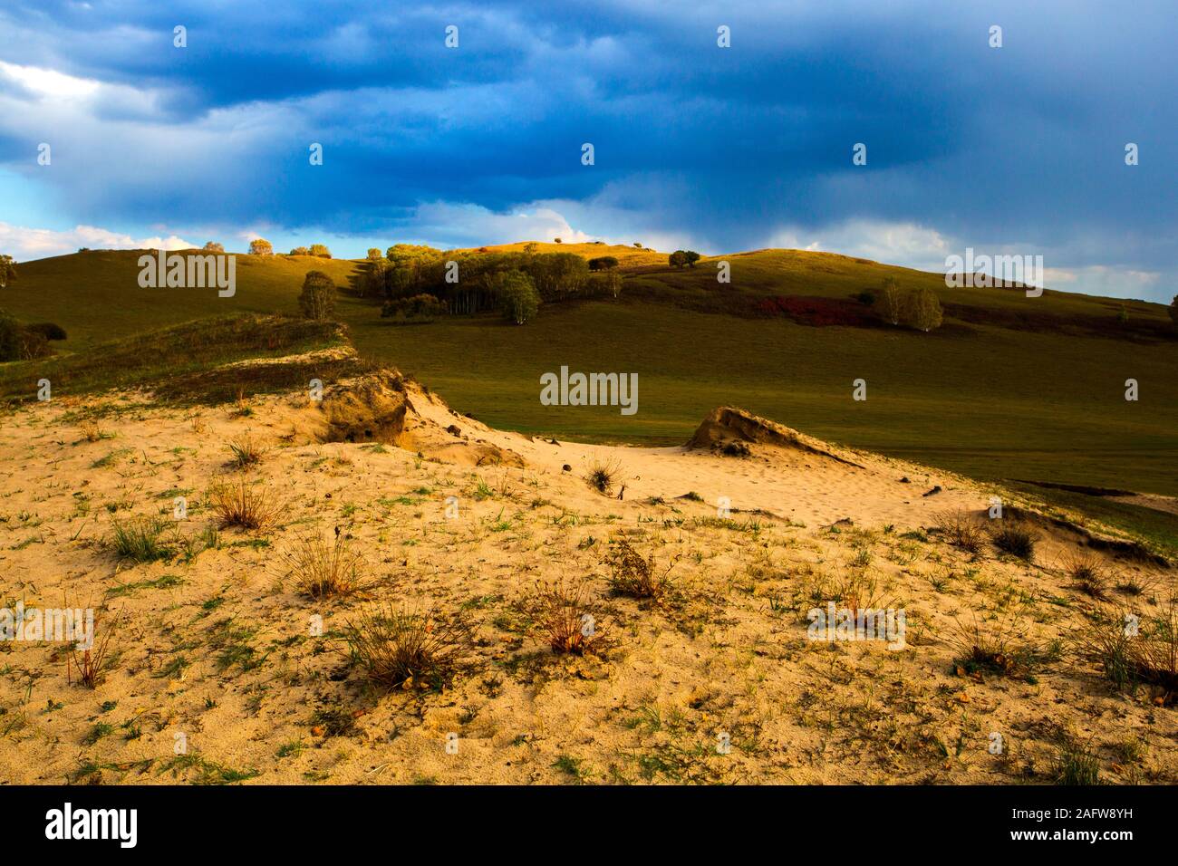 Mongolia grassland storm hi-res stock photography and images - Alamy
