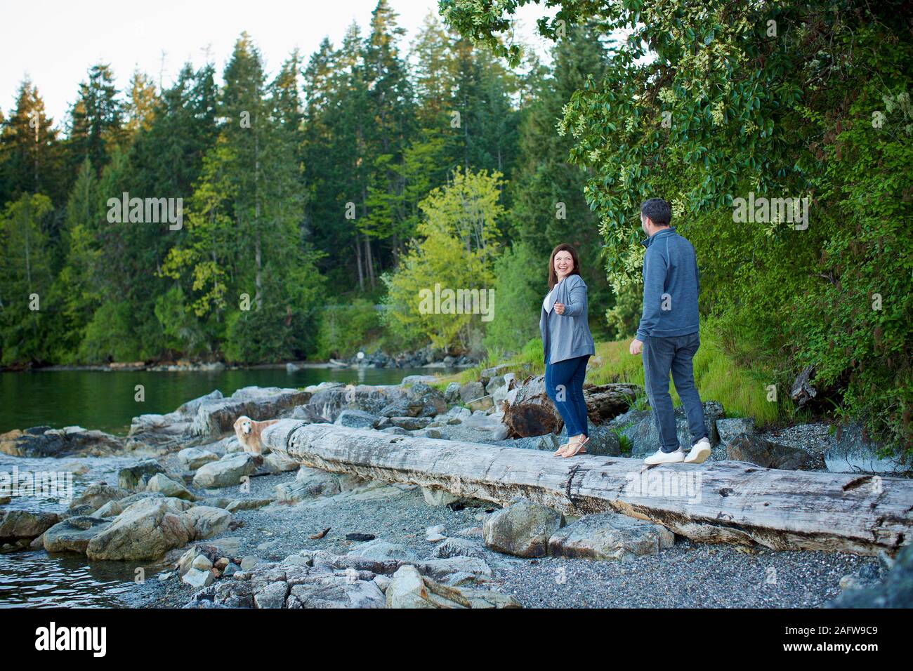Happy couple walking on fallen log at lakeside in woods, Mill Bay ...