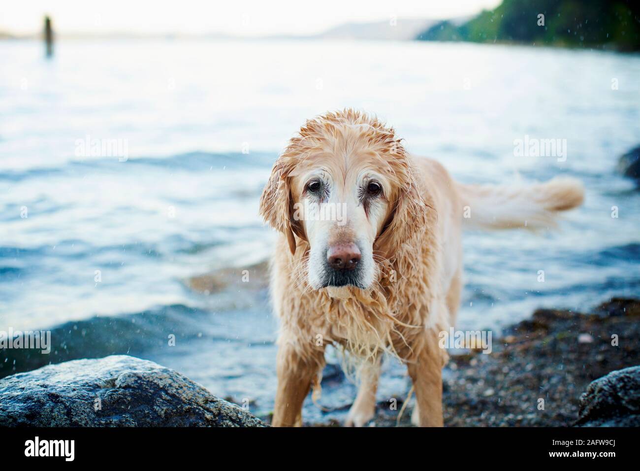 Wet day on beach hi-res stock photography and images - Alamy