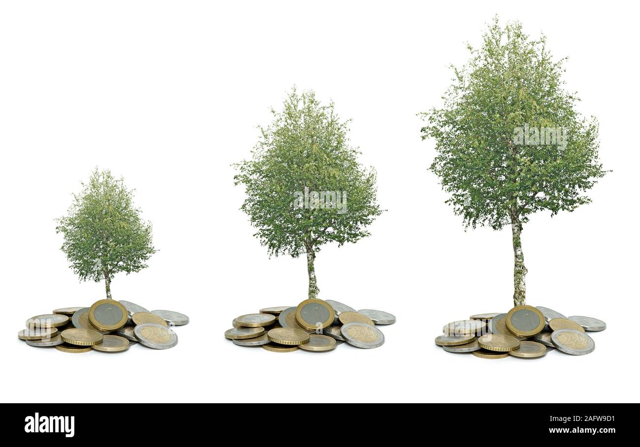 Tree growing from coins Stock Photo - Alamy