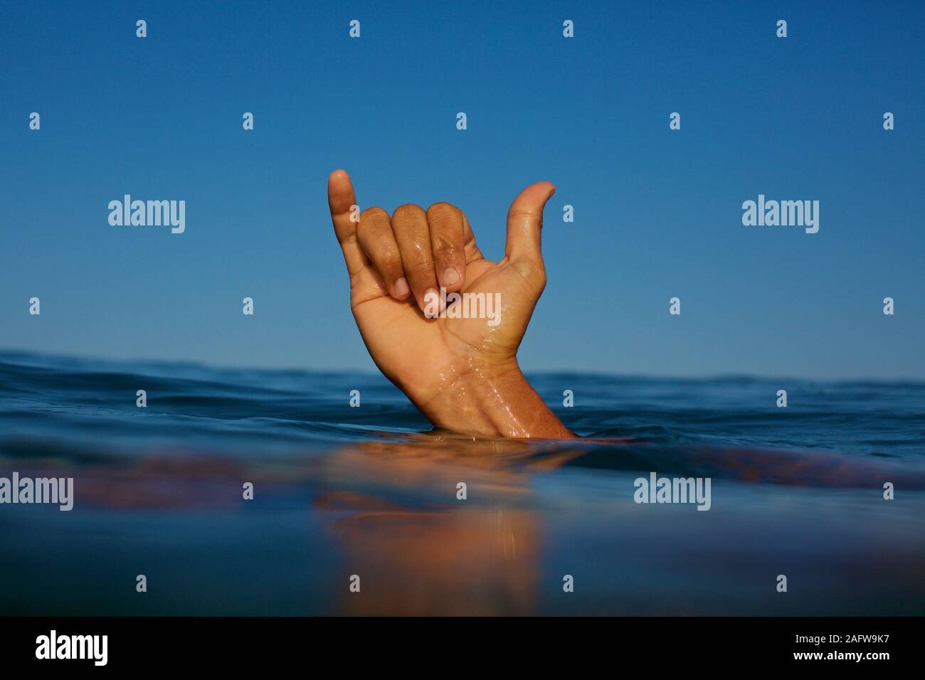 Close up male surfer gesturing shaka sign in ocean Stock Photo - Alamy
