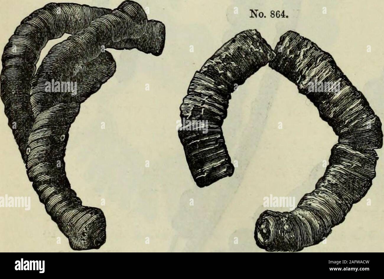 Number 861 hi-res stock photography and images - Alamy