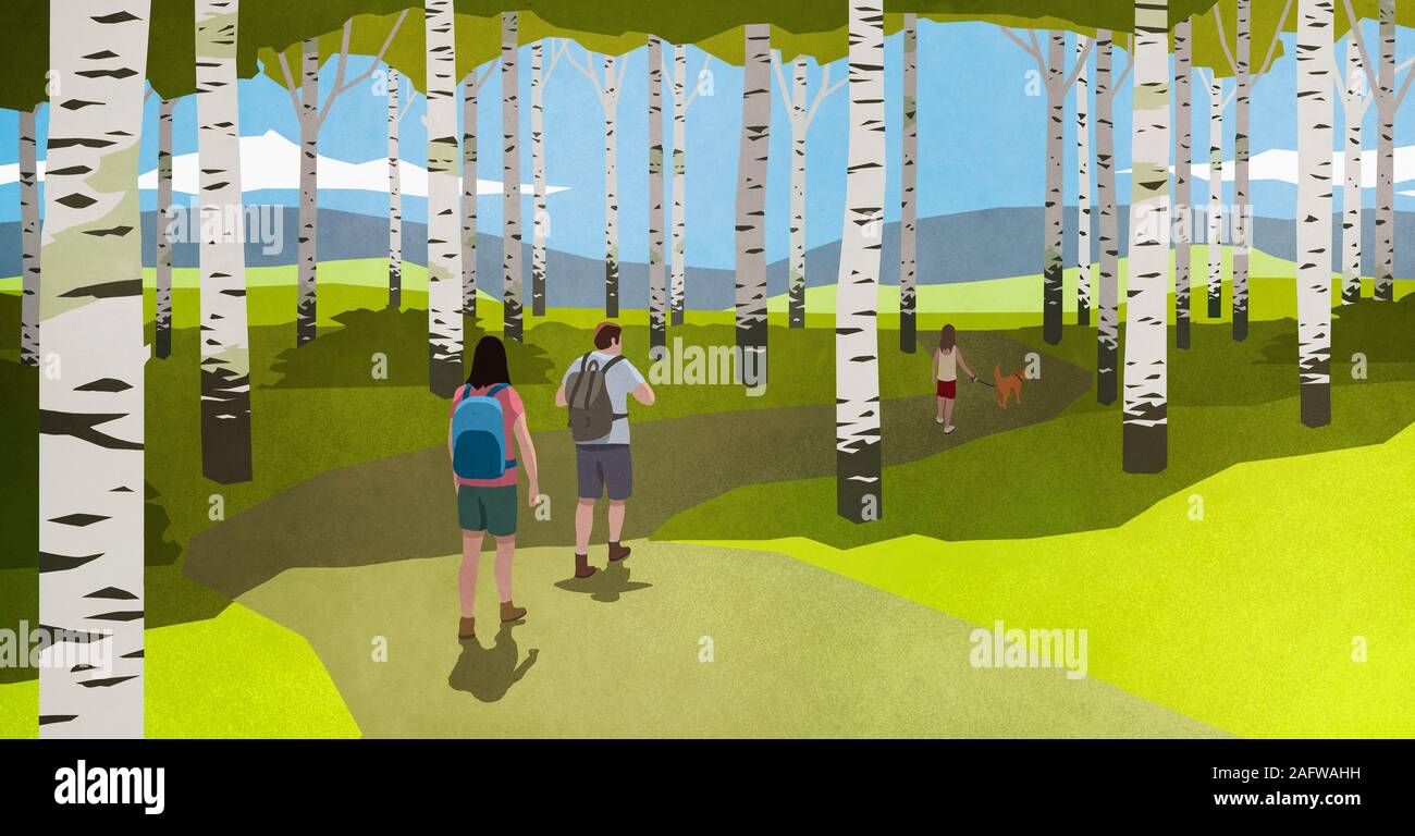 Family with dog hiking among birch trees in idyllic woods Stock Photo ...