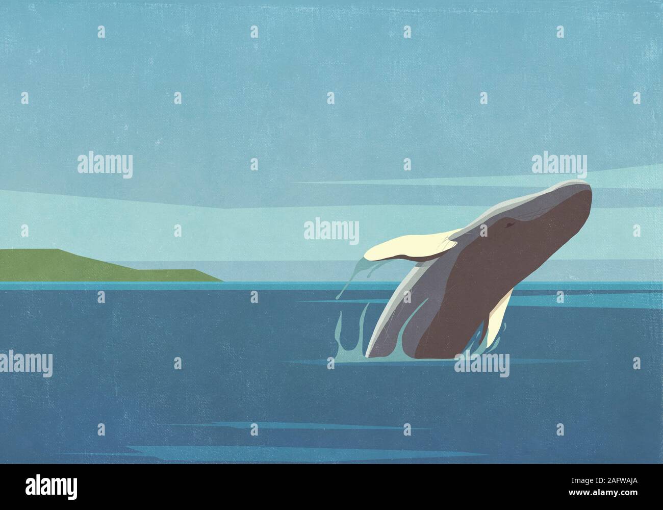 Whale breaching in ocean Stock Photo - Alamy