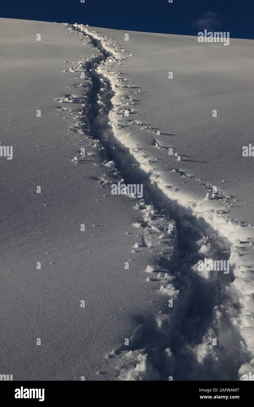 Snowshoe tracks up sunny, snowy mountain slope Stock Photo - Alamy
