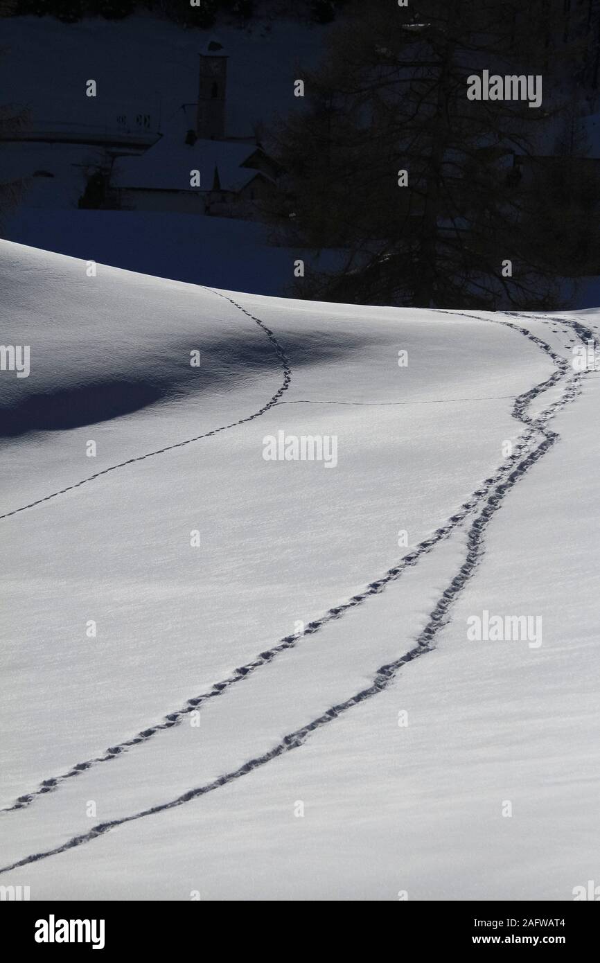 Snowy mountain slope hi-res stock photography and images - Alamy