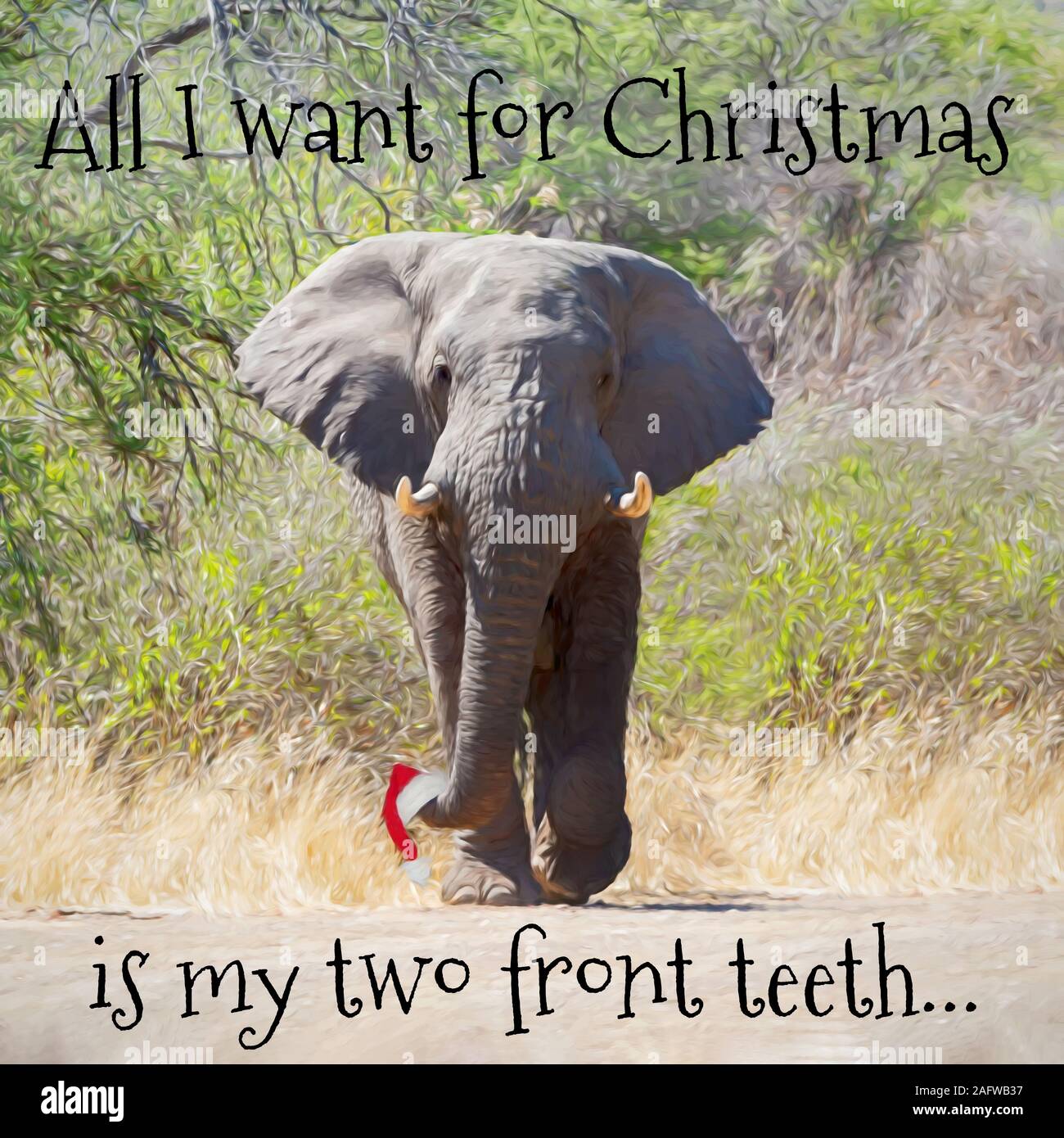 Elephant teeth drawing hi-res stock photography and images - Alamy