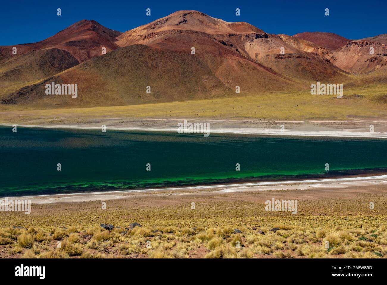 The highlands lake with red mountains in Atacama Stock Photo - Alamy