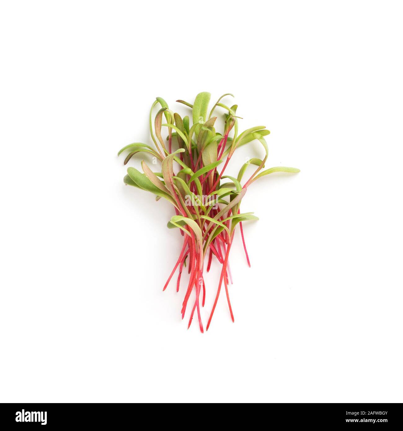 Vegan food micro greens Cut Out Stock Images & Pictures - Alamy