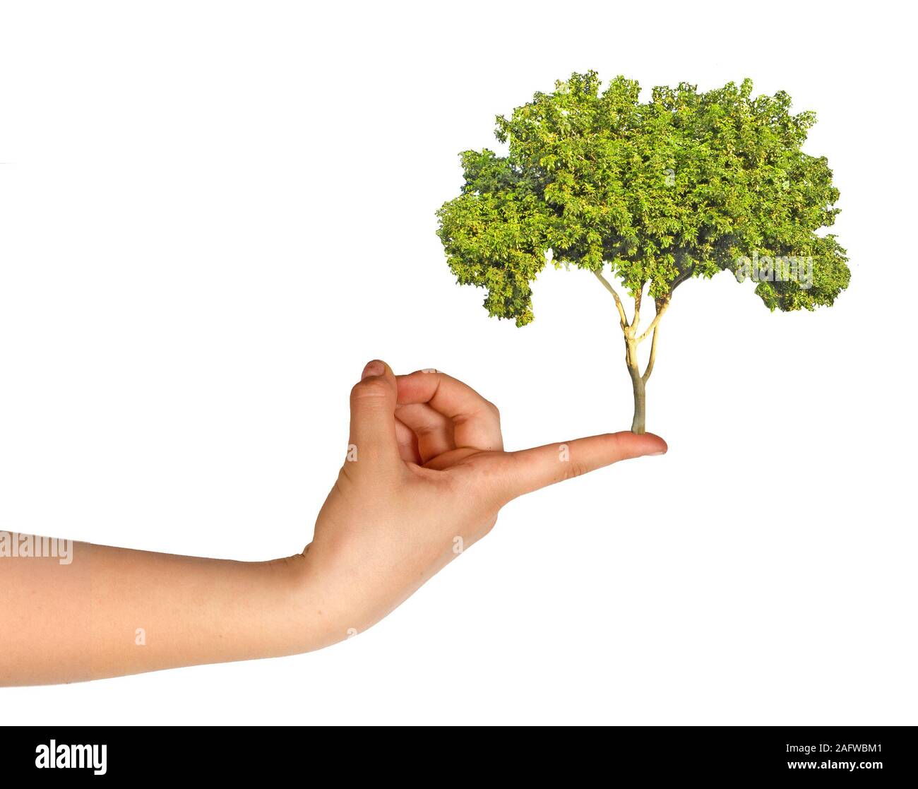 Tree on finger Stock Photo - Alamy